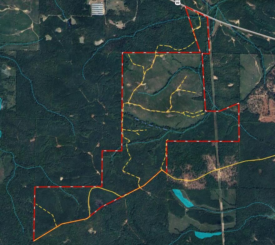 650 acres in Butler, GA, 31006 | MLS: 10518884 | LandWatch