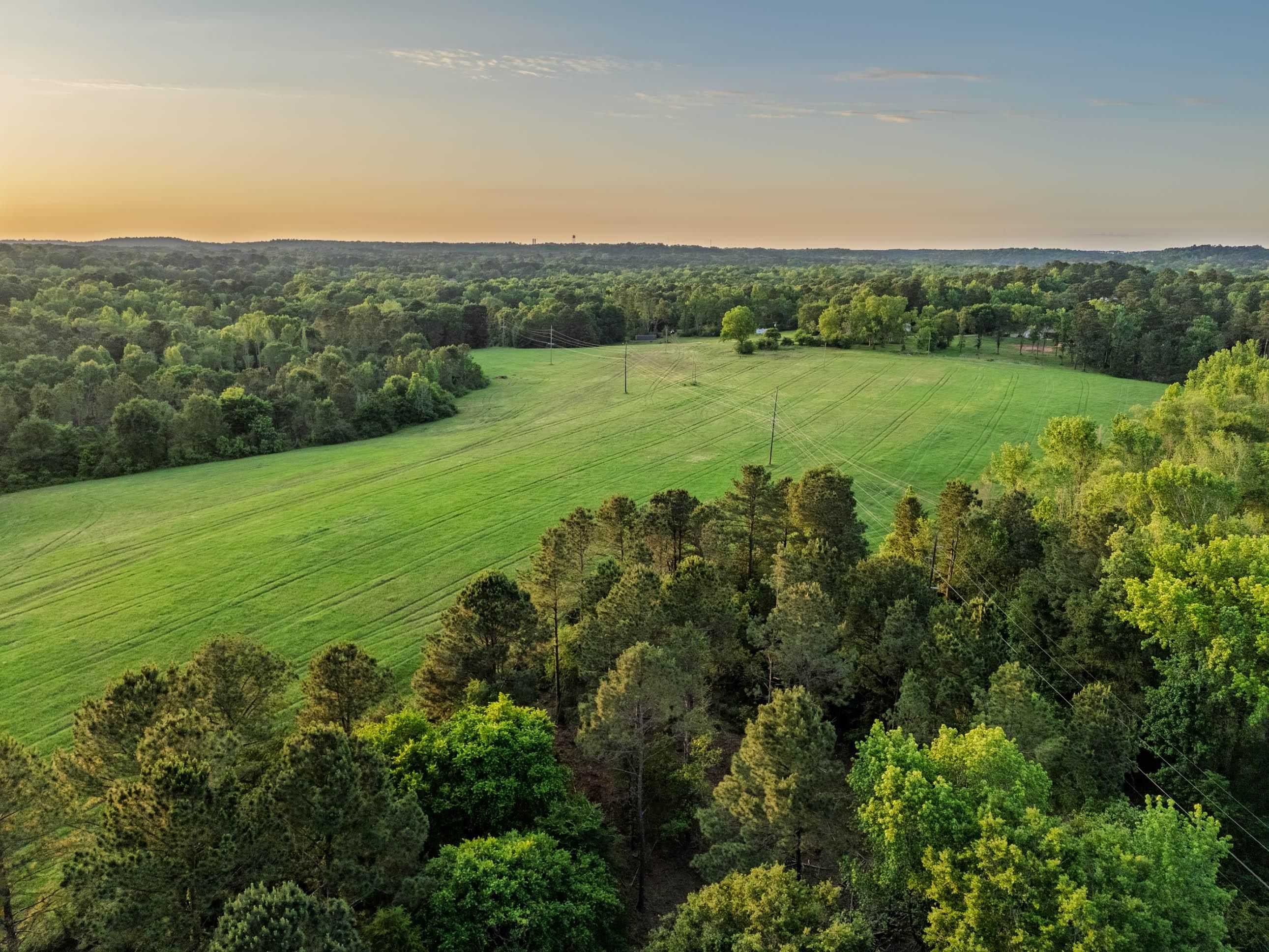 FM 752 & Loop 343, Rusk, TX 75785 | MLS: One Eye Crossing | LandWatch