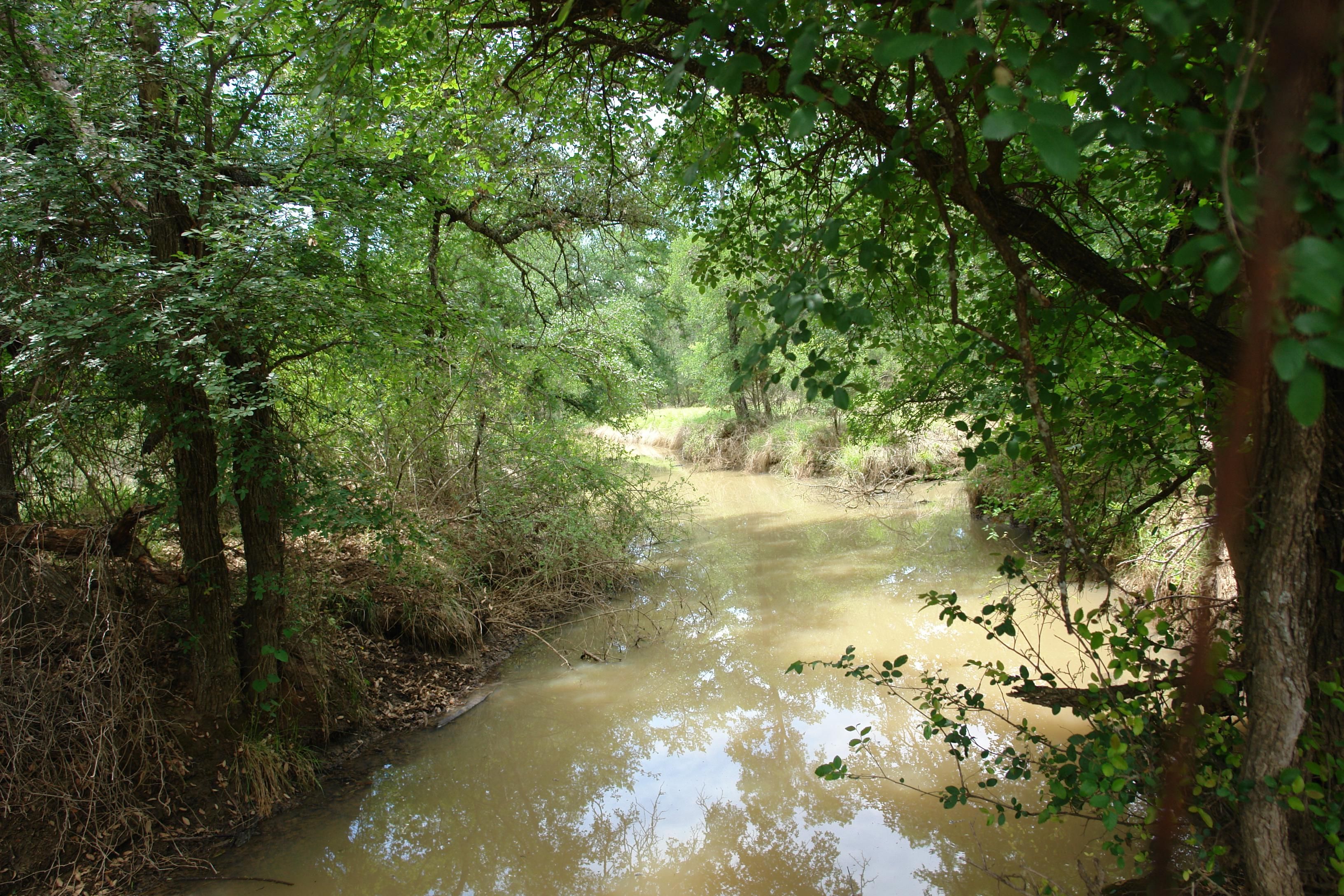 81 County Road 536, Mullin, TX 76864 | LandWatch