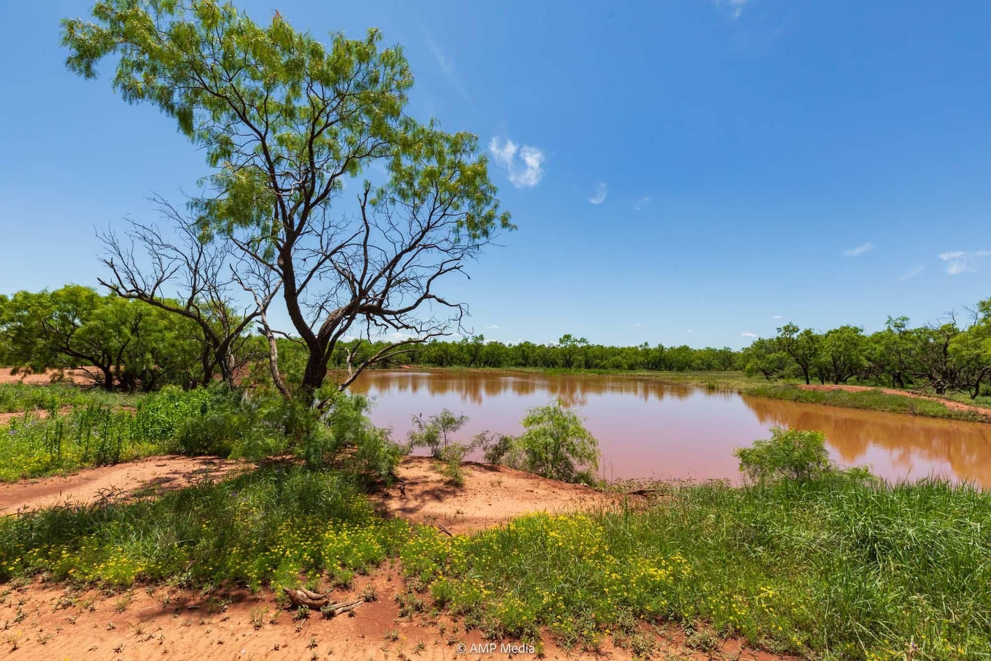 550 acres in Trent, TX, 79561 | LandWatch