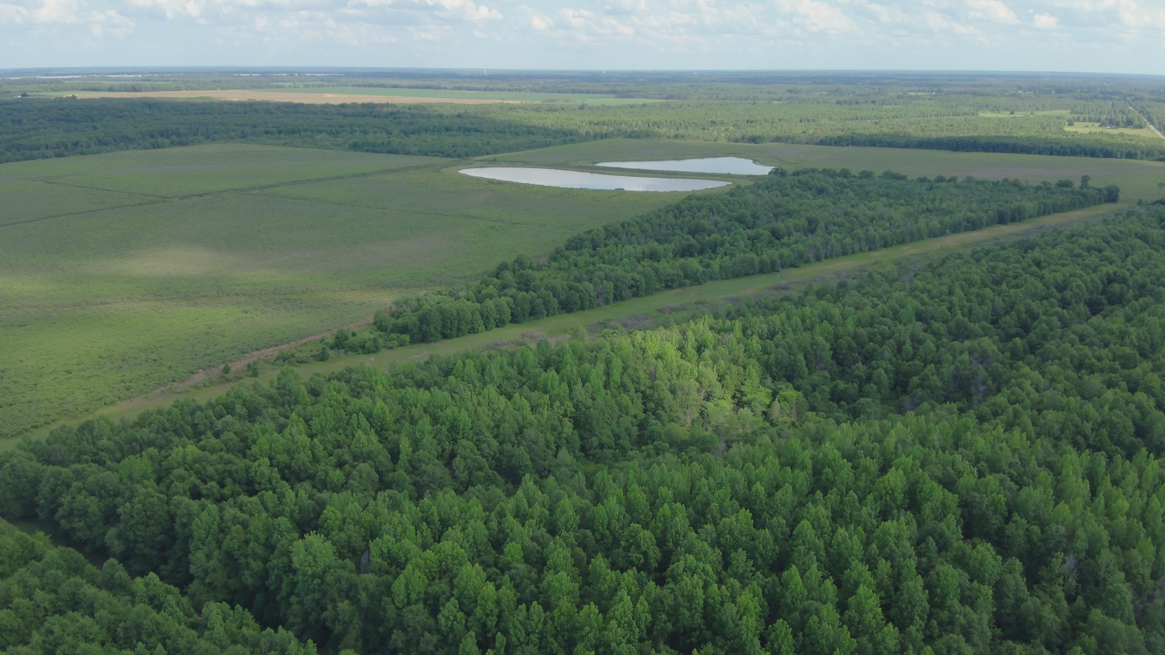 4,000 acres in Holly Ridge, LA, 71269 | LandWatch