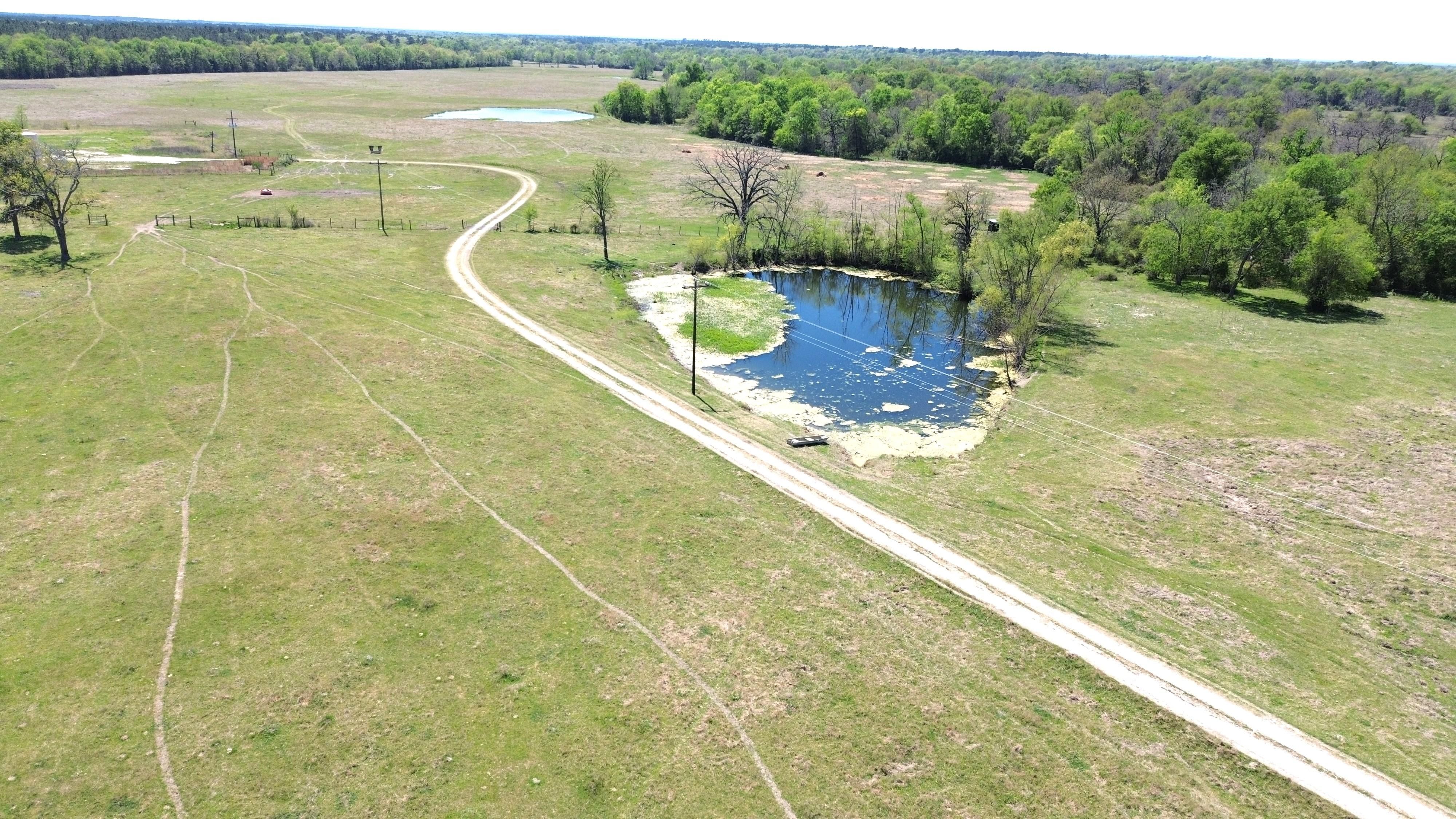 260.71 acres in Lovelady, TX, 75851 | MLS: 78285464 | LandWatch