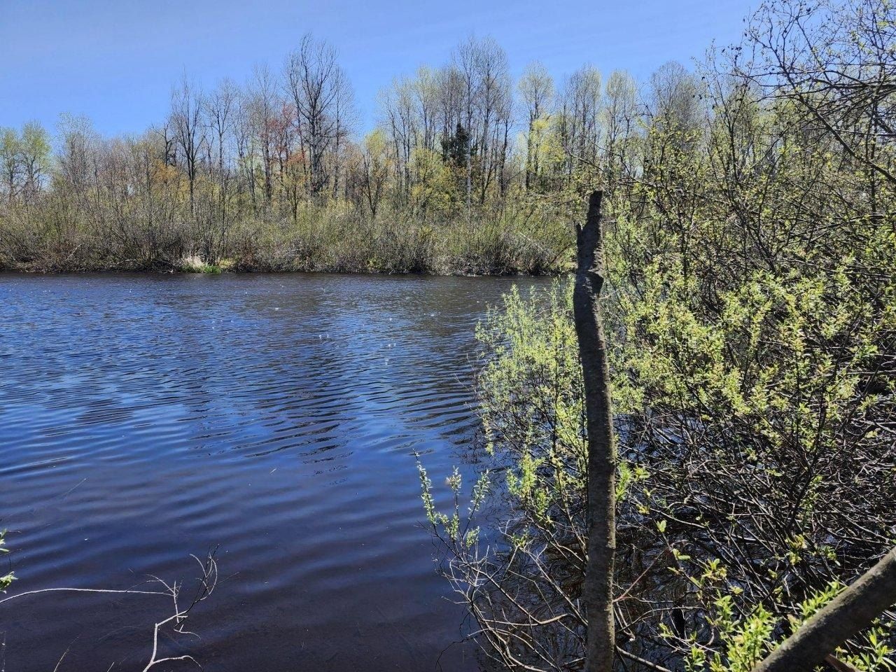 On HWY 70, Winter, WI 54896 | MLS: 211622 | LandWatch