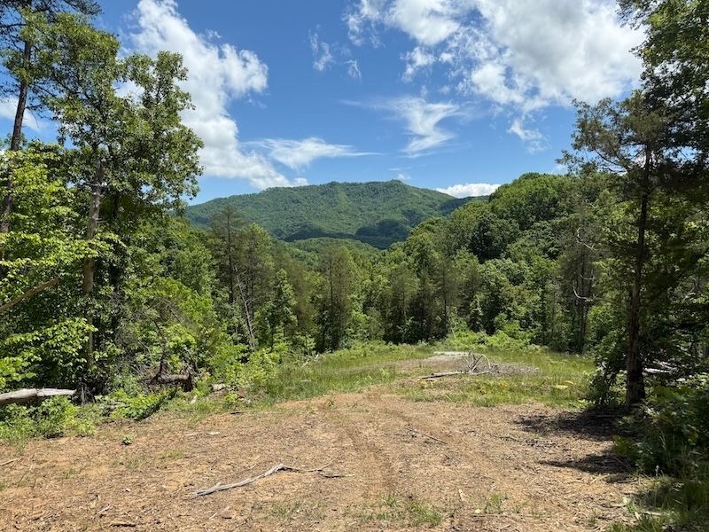 TBD Simpson Loop, Lot#WP001, Rogersville, TN 37857 | LandWatch