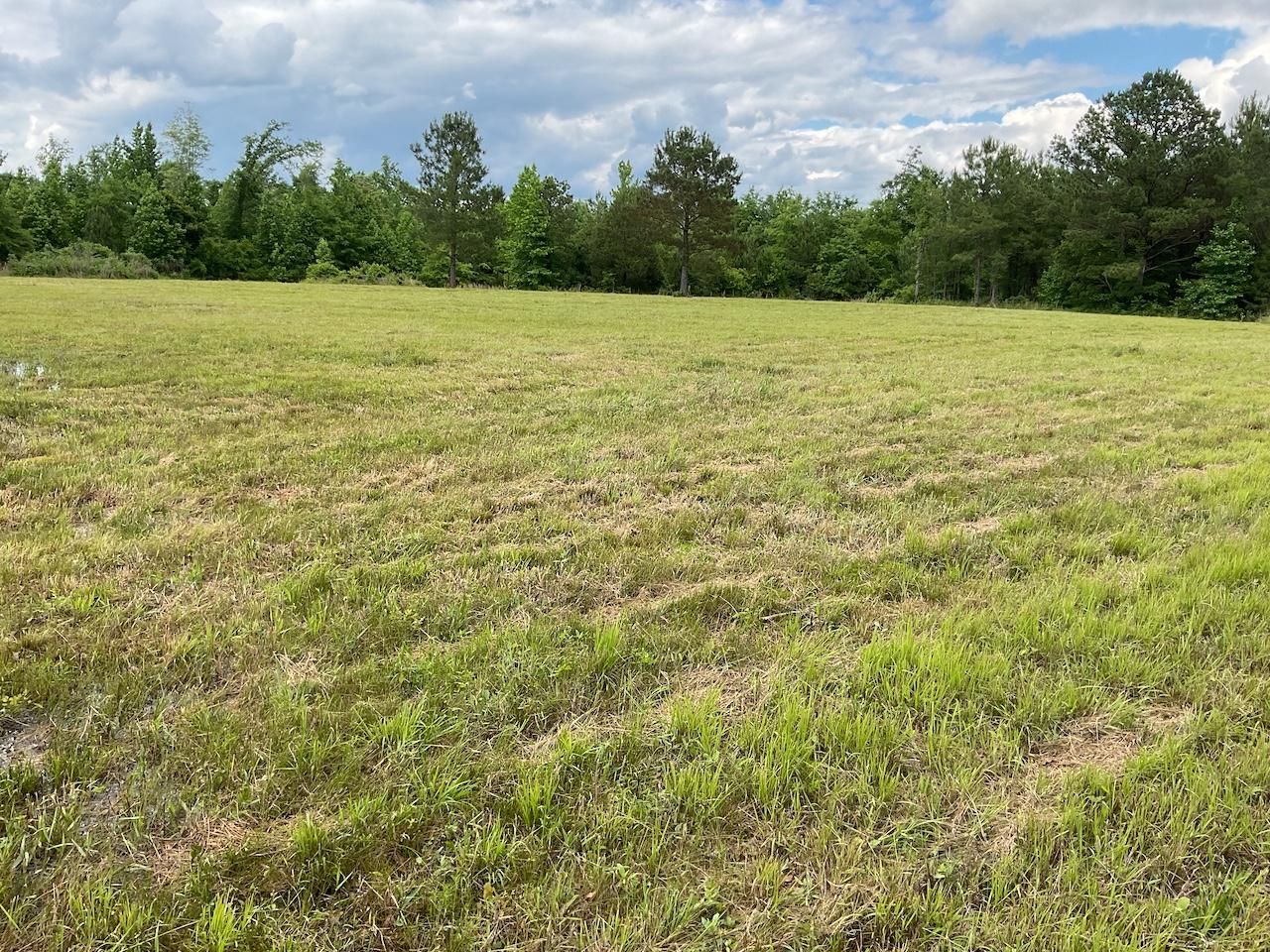 67 Beaver Pond Road, Luverne, AL 36049 | MLS: BEAVER POND ROAD LOT ...