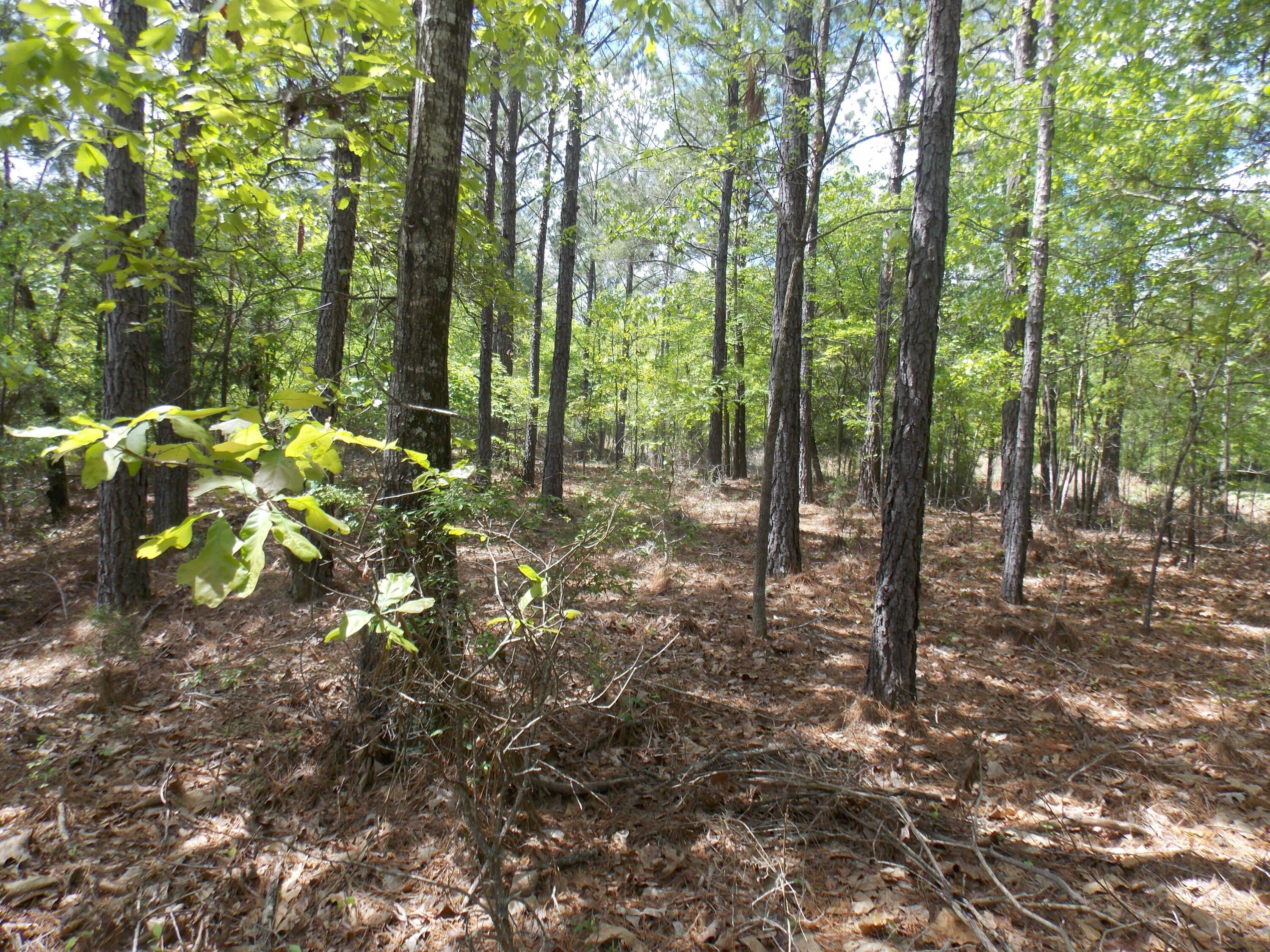 1007 Clinton Williams Rd, Lincolnton, GA 30817 | MLS: 540479 | LandWatch