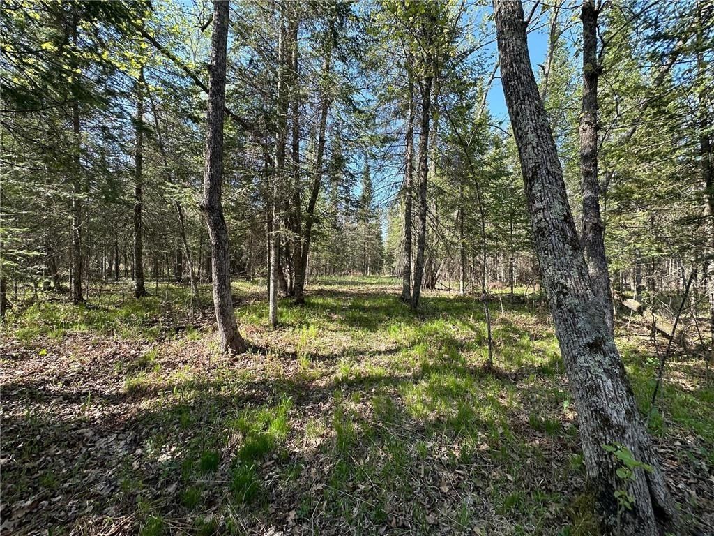 Xxx Elm Road, Barnum, MN 55707 | MLS: 6721274 | LandWatch