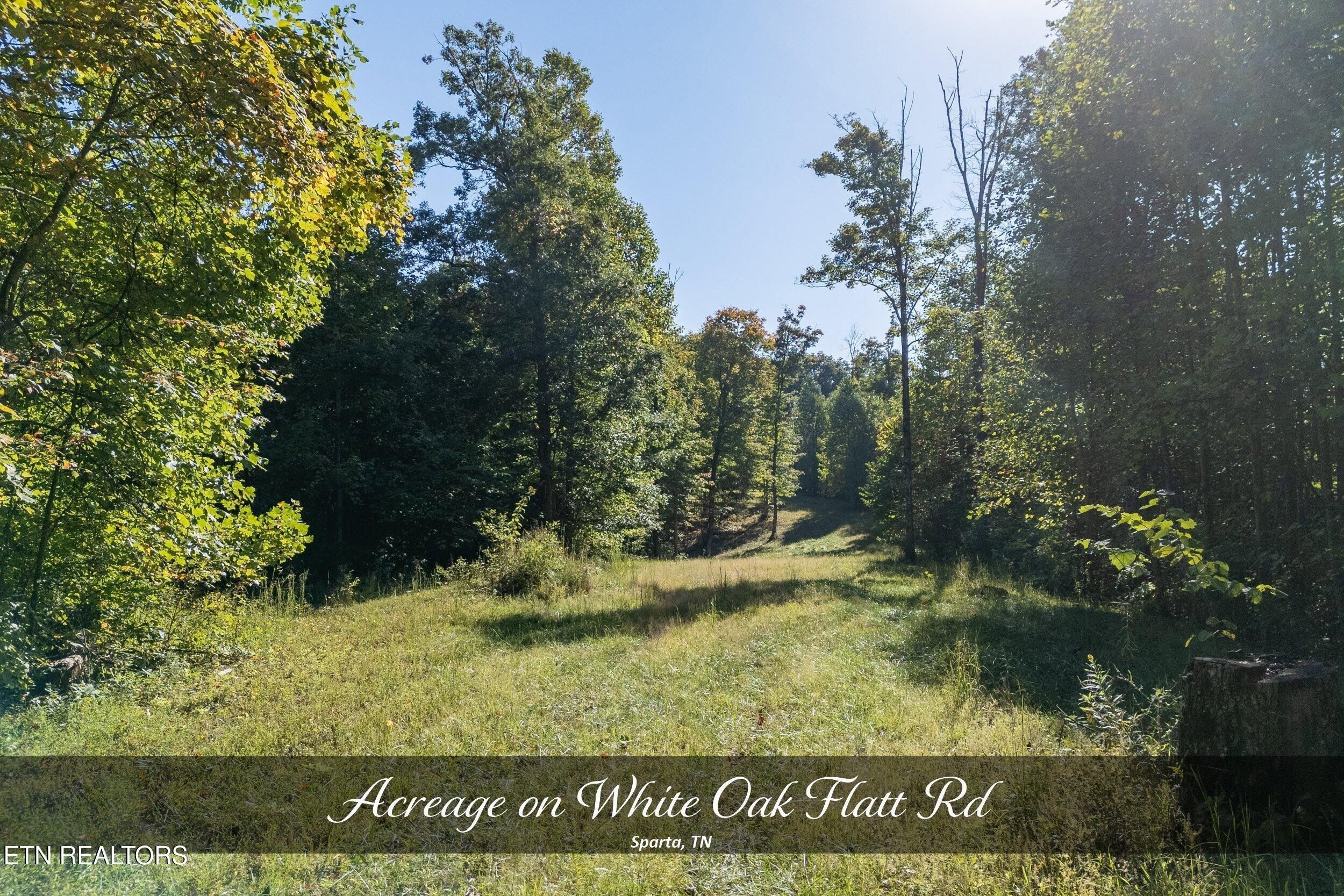 8111 White Oak Flatt Rd, Sparta, TN 38583 | MLS: 1301054 | LandWatch