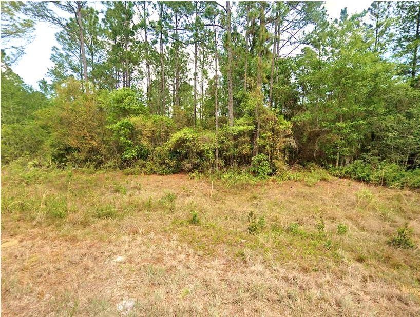 0.23 acres in Georgetown, FL, 32139 | LandWatch