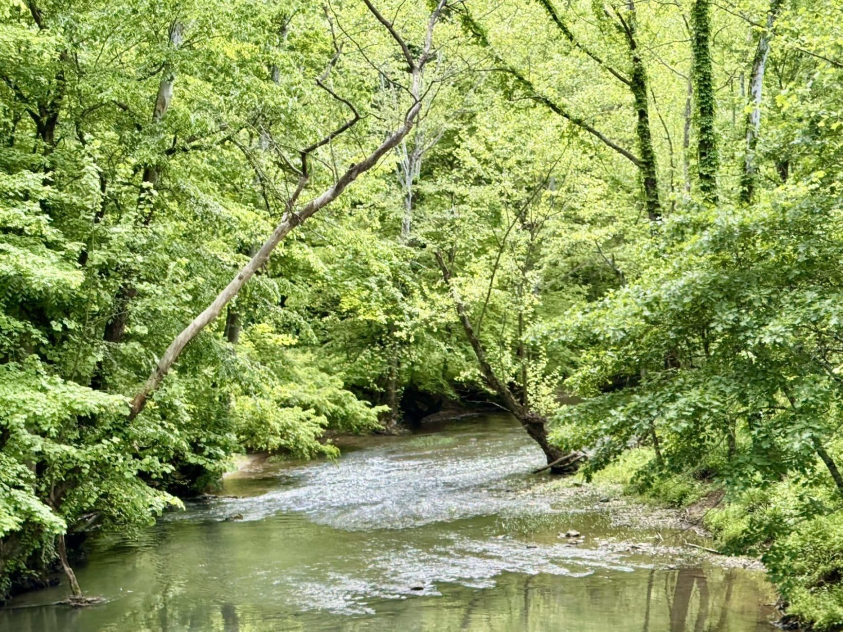 Bull Run Valley, Heiskell, TN 37754 | LandWatch