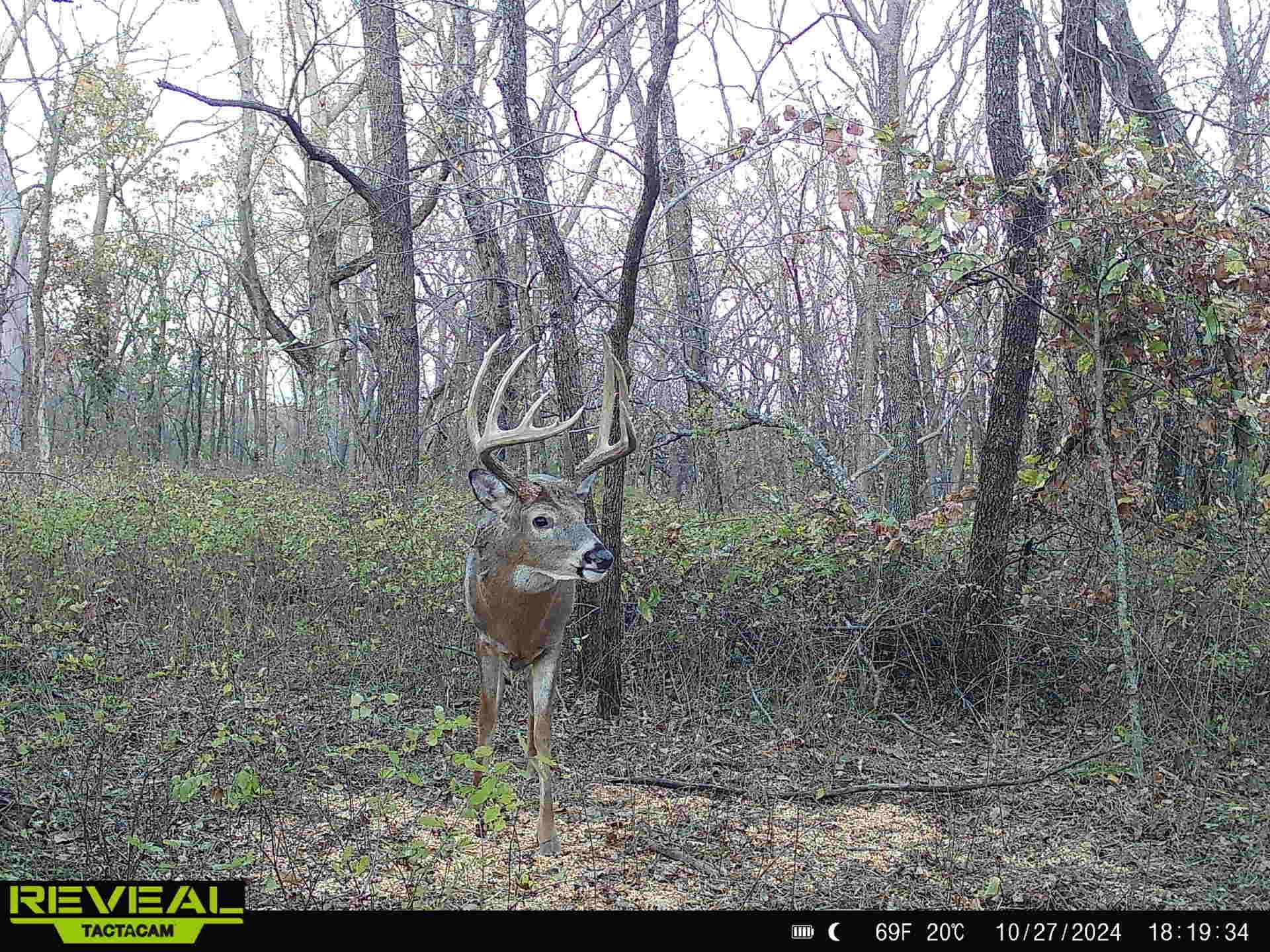 2265 Trego Road, Lawrence, KS 66044 | MLS: 239401 | LandWatch