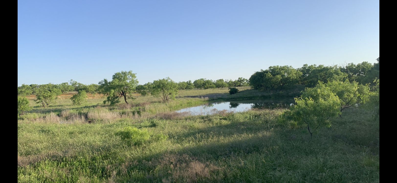 14119 Texas 153, Talpa, TX 76882 | LandWatch