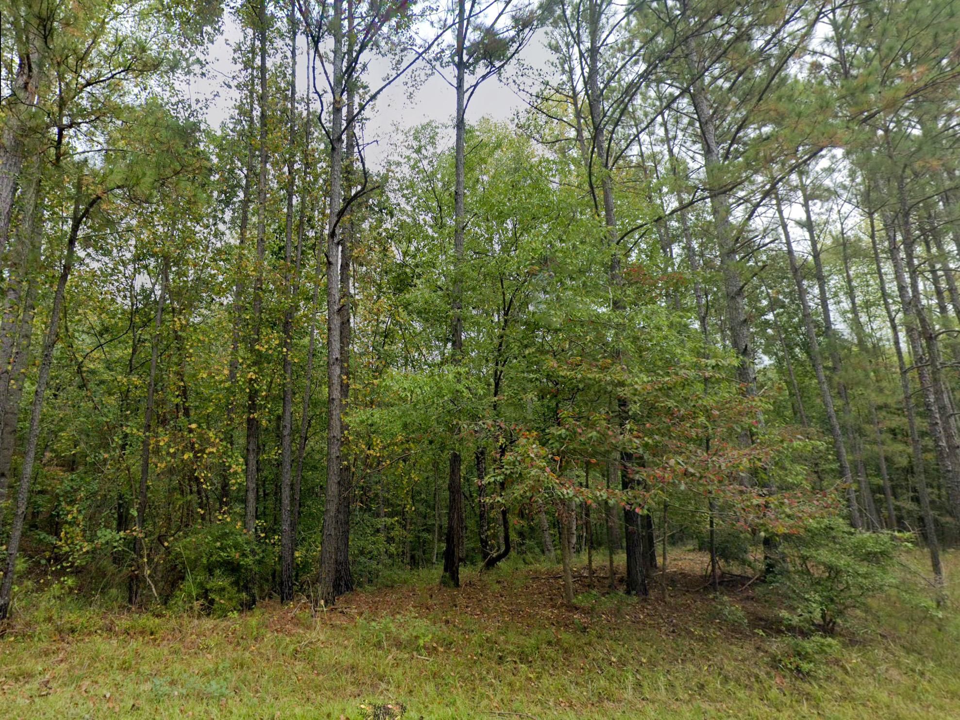 County Road 61, Clanton, AL 35046 | LandWatch