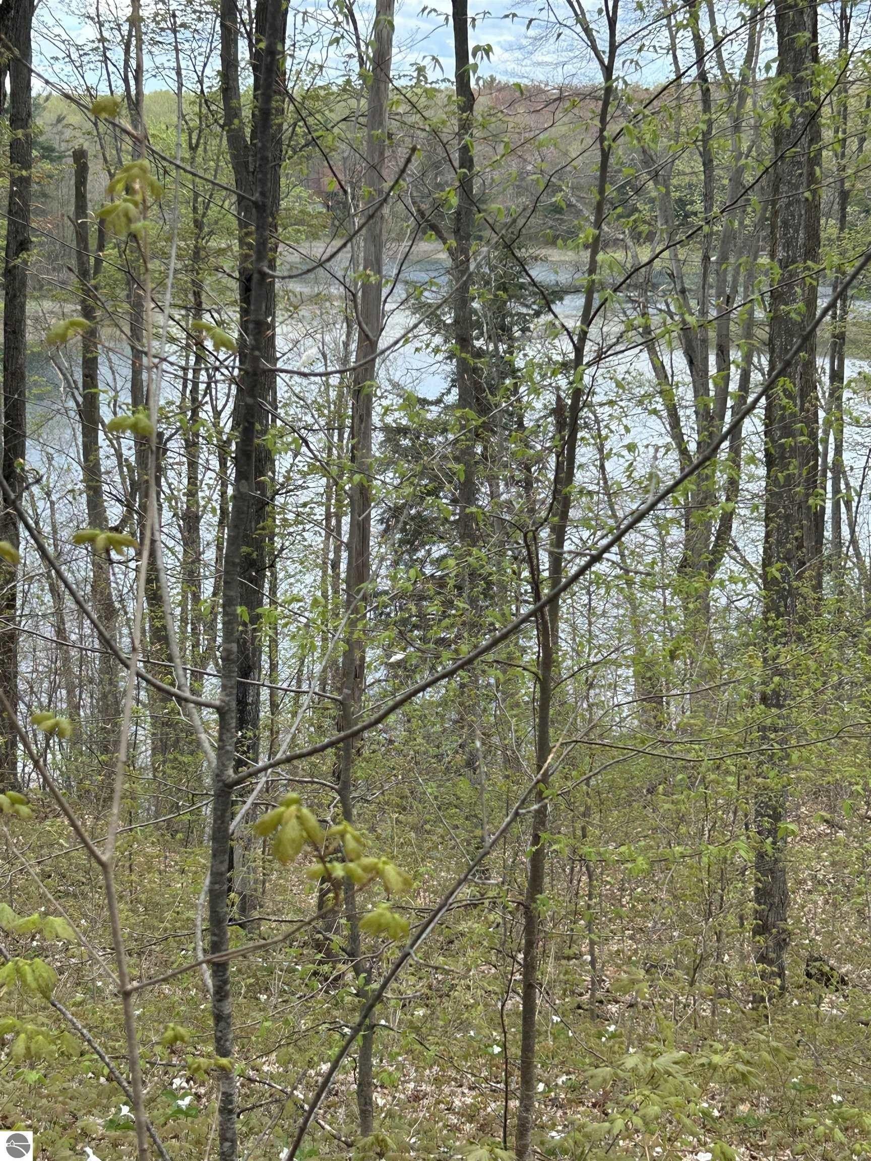 V/L Hardwood Drive, Alba, MI 49611 | MLS: 1933929 | LandWatch