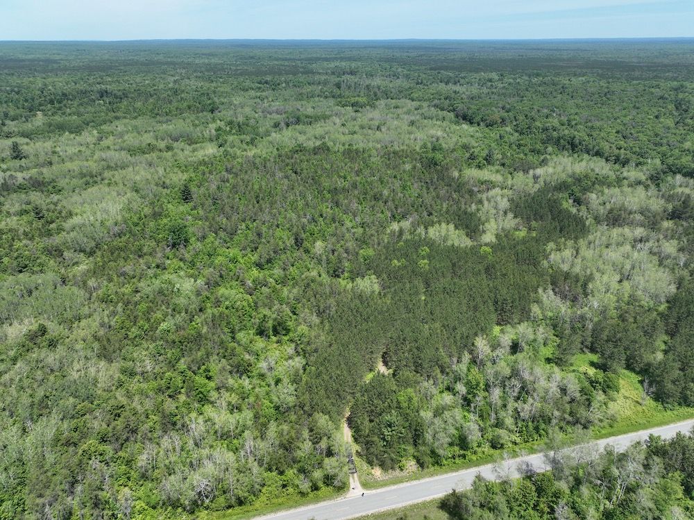 V/L 13 Mile Road,, Bitely, MI 49309 | LandWatch