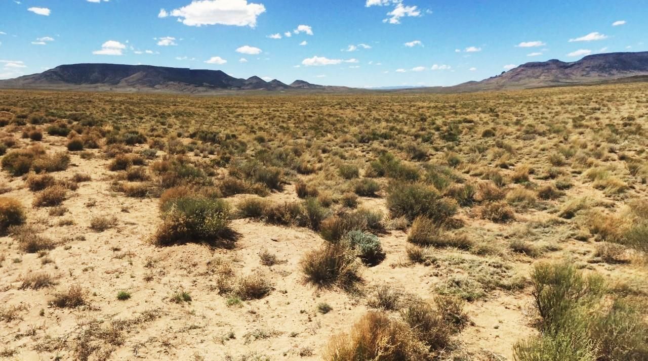 Gallup Trl, Mesita, CO 81152 | LandWatch