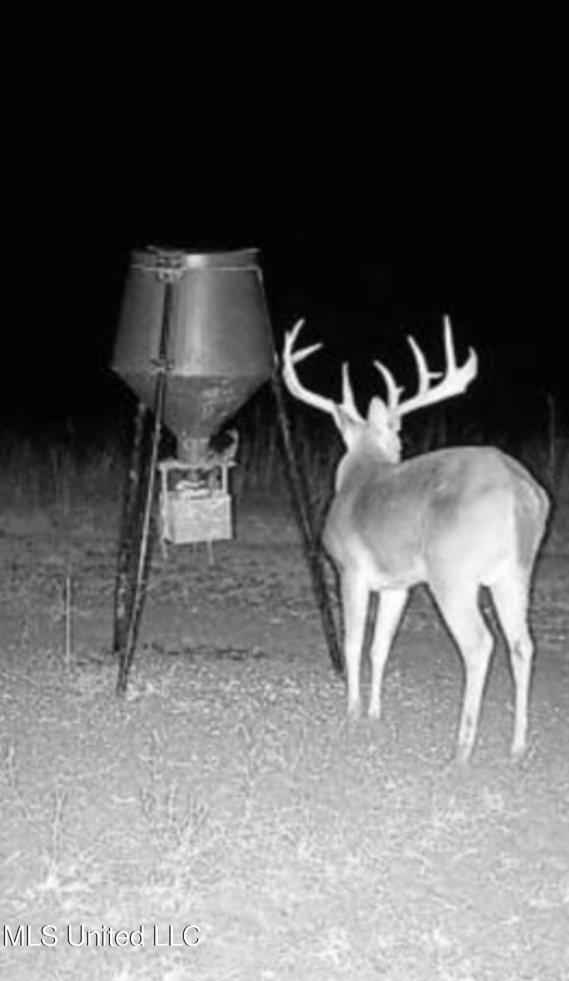 Hwy 444, Shelby, MS 38774 | MLS: 4113817 | LandWatch