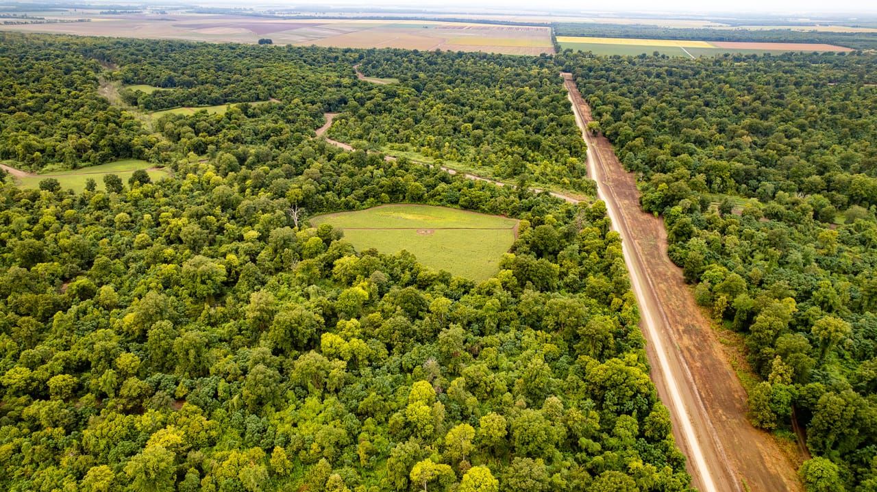 Levee Road, Lake Village, AR 71653 | LandWatch