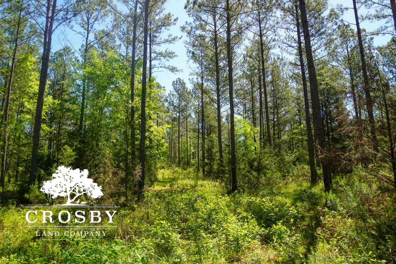 0 CCC Road, Troy, SC 29848 | LandWatch