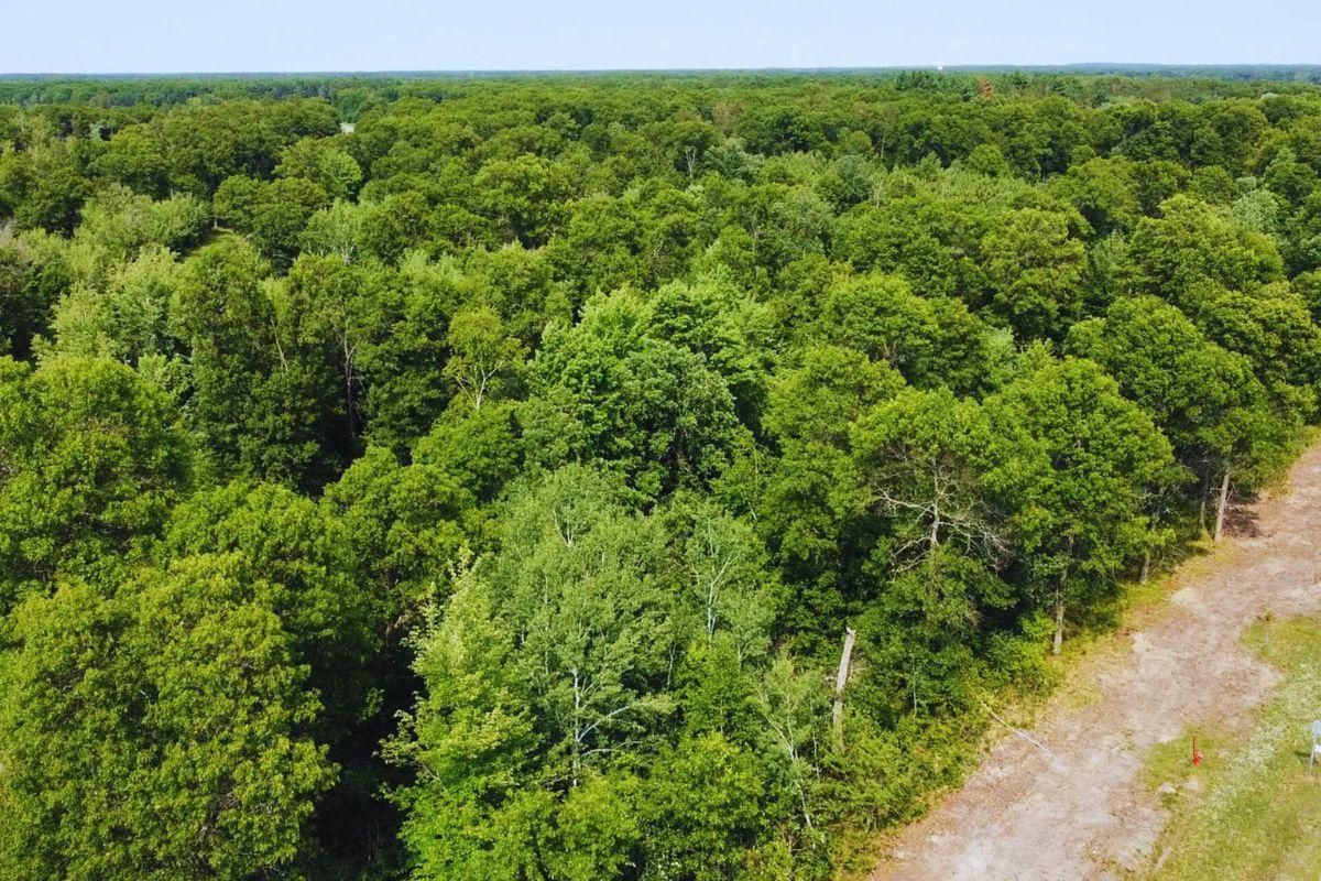 Flinstone Drive, Cushing, MN 56443 | MLS: Morrison 0.68 Acres, 08.0857. ...