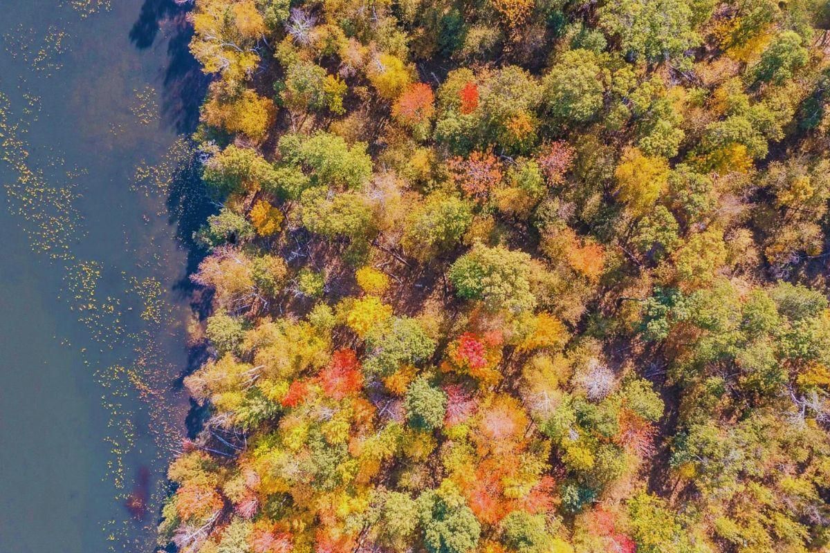 Flinstone Drive, Cushing, MN 56443 | MLS: Morrison 0.68 Acres ...