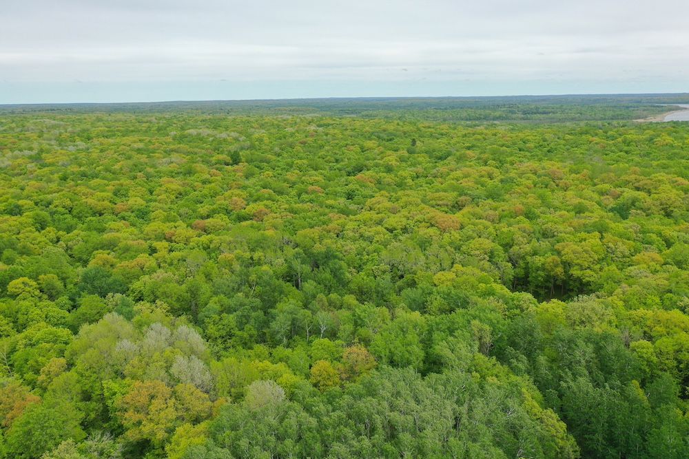 TBD Knopf Road, Lot#WP001, Rochert, MN 56578 | LandWatch