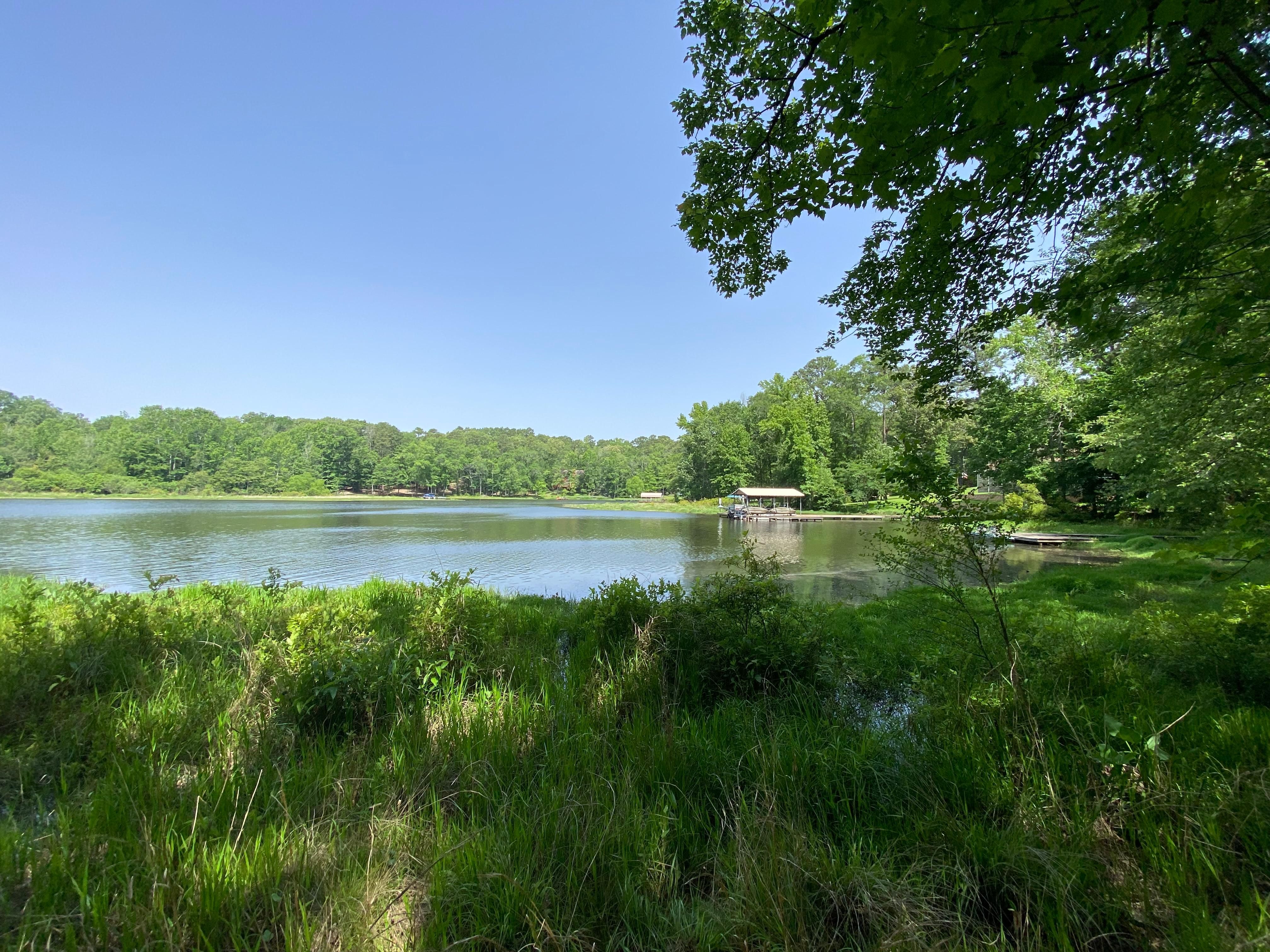 TBD County Road 1596, Avinger, TX 75630 | LandWatch