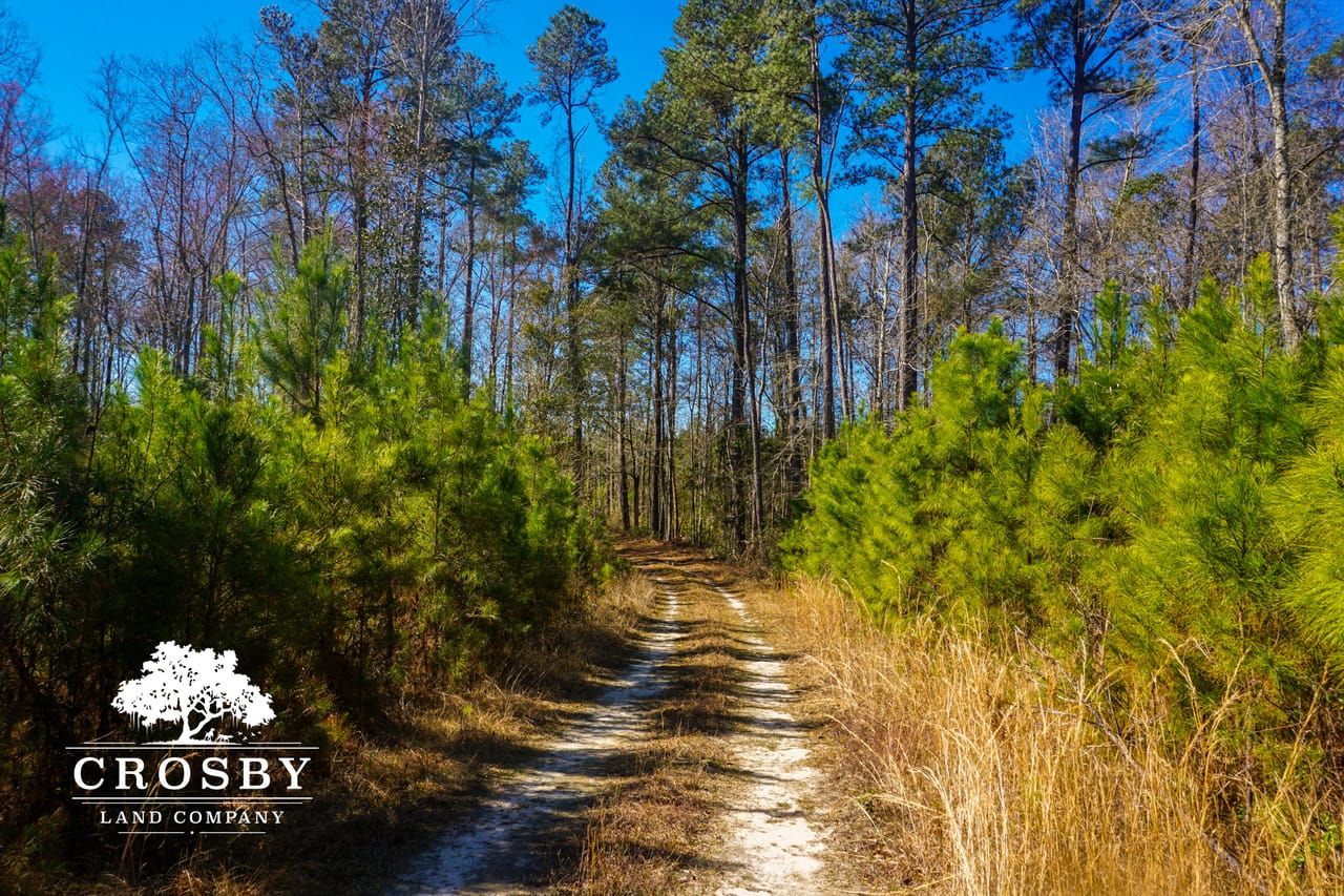 Bells Hwy, Lodge, SC 29082 | LandWatch