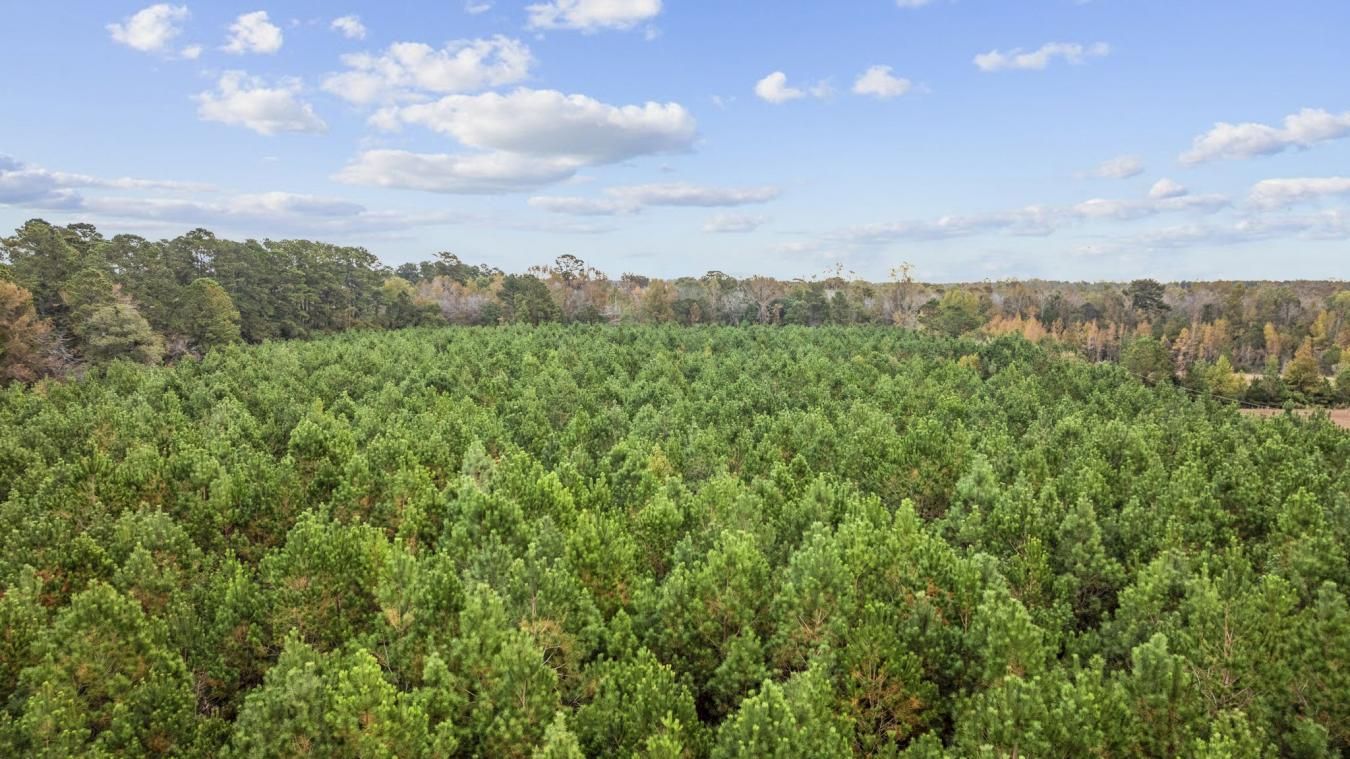 Lot 4 Creek Landing Road, Nichols, SC 29581 | LandWatch