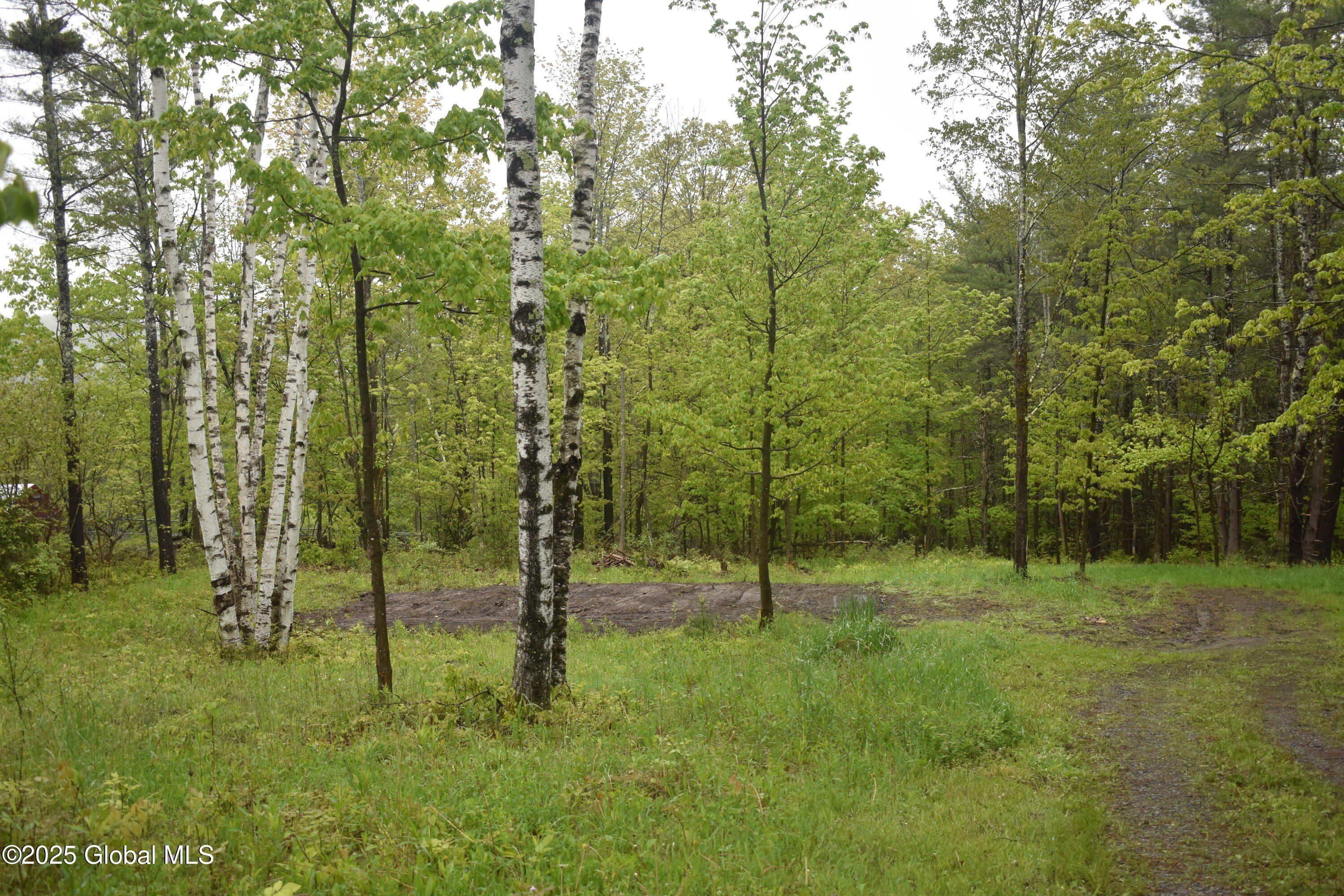 108.-2-2 Posson Hill Road, Middleburgh, NY 12122 | MLS: 202518091 ...