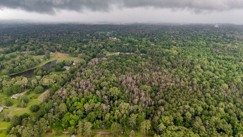 0000 Henderson Road, Jackson, MS 39272 | MLS: Hinds 38 | LandWatch