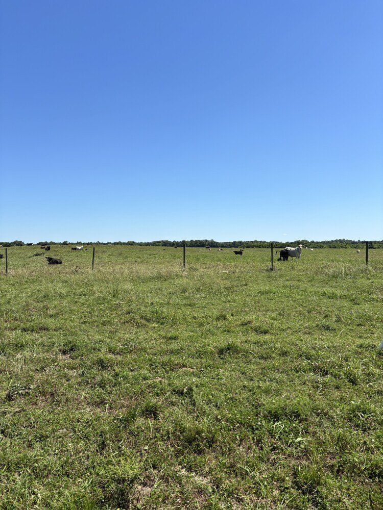 1162 Sparks Road, Gallion, AL 36742 | MLS: 11503944 | LandWatch