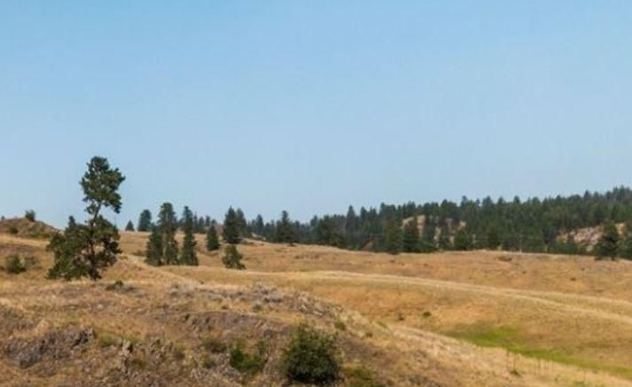 XY Union Ridge Rd, Republic, WA 99166 | MLS: 2344936 | LandWatch