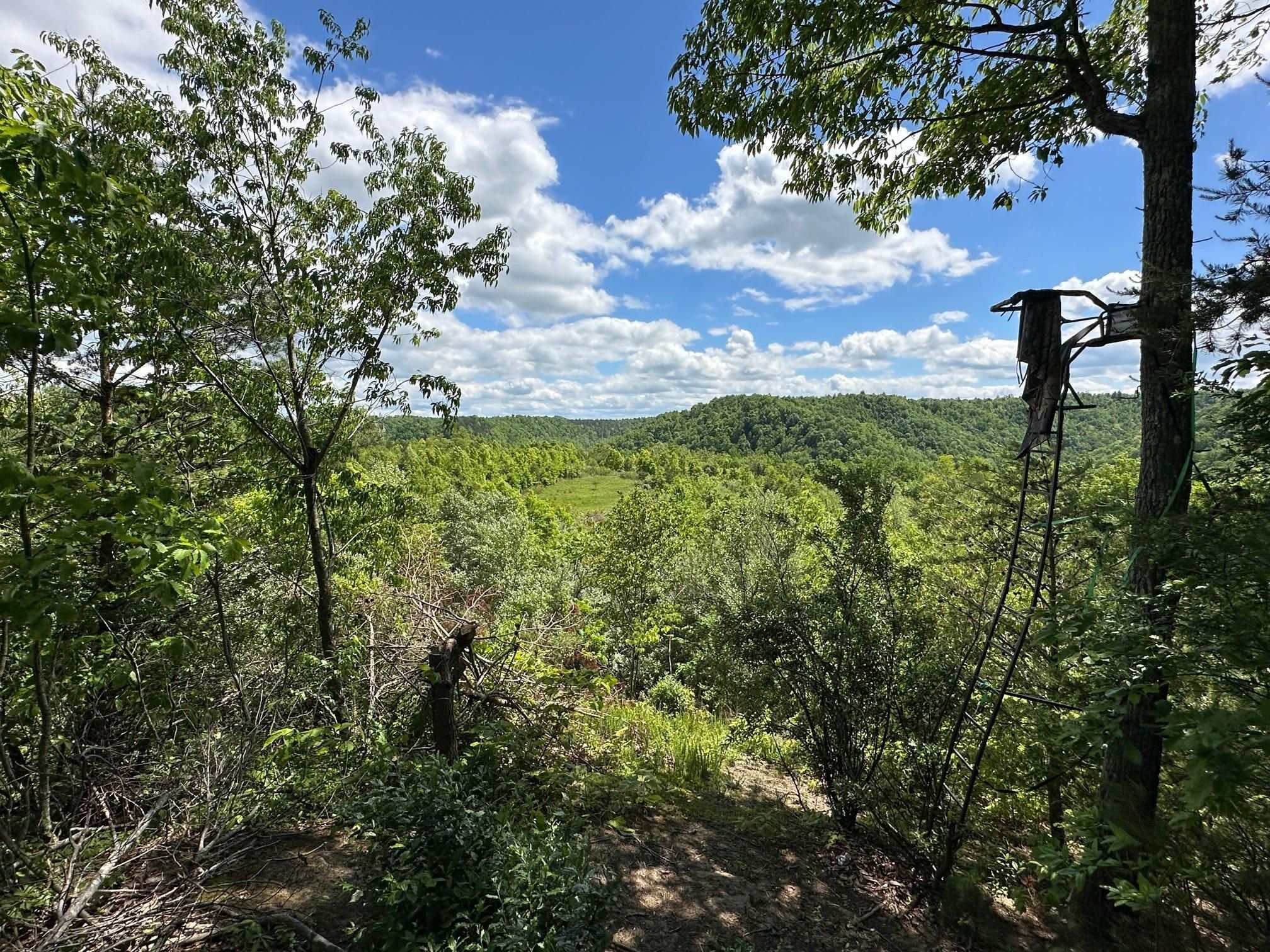 150 Sycamore Creek Road, Van Lear, KY 41265 | MLS: 25011014 | LandWatch