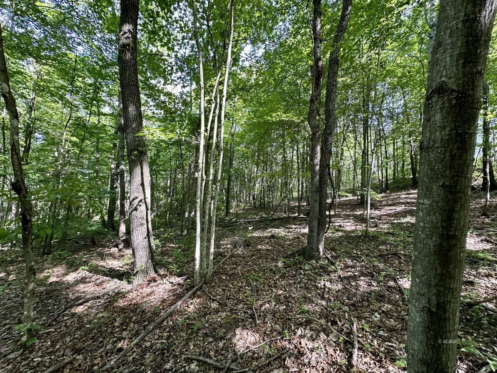 Lot 1 Rowland Road, Hamden, OH 45634 | MLS: 2433480 | LandWatch