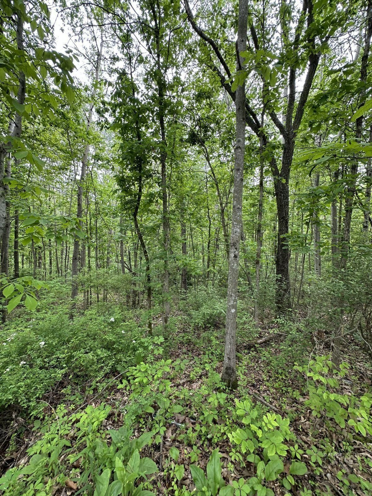Lot 5 Rowland Road, Hamden, OH 45634 | MLS: 2433484 | LandWatch