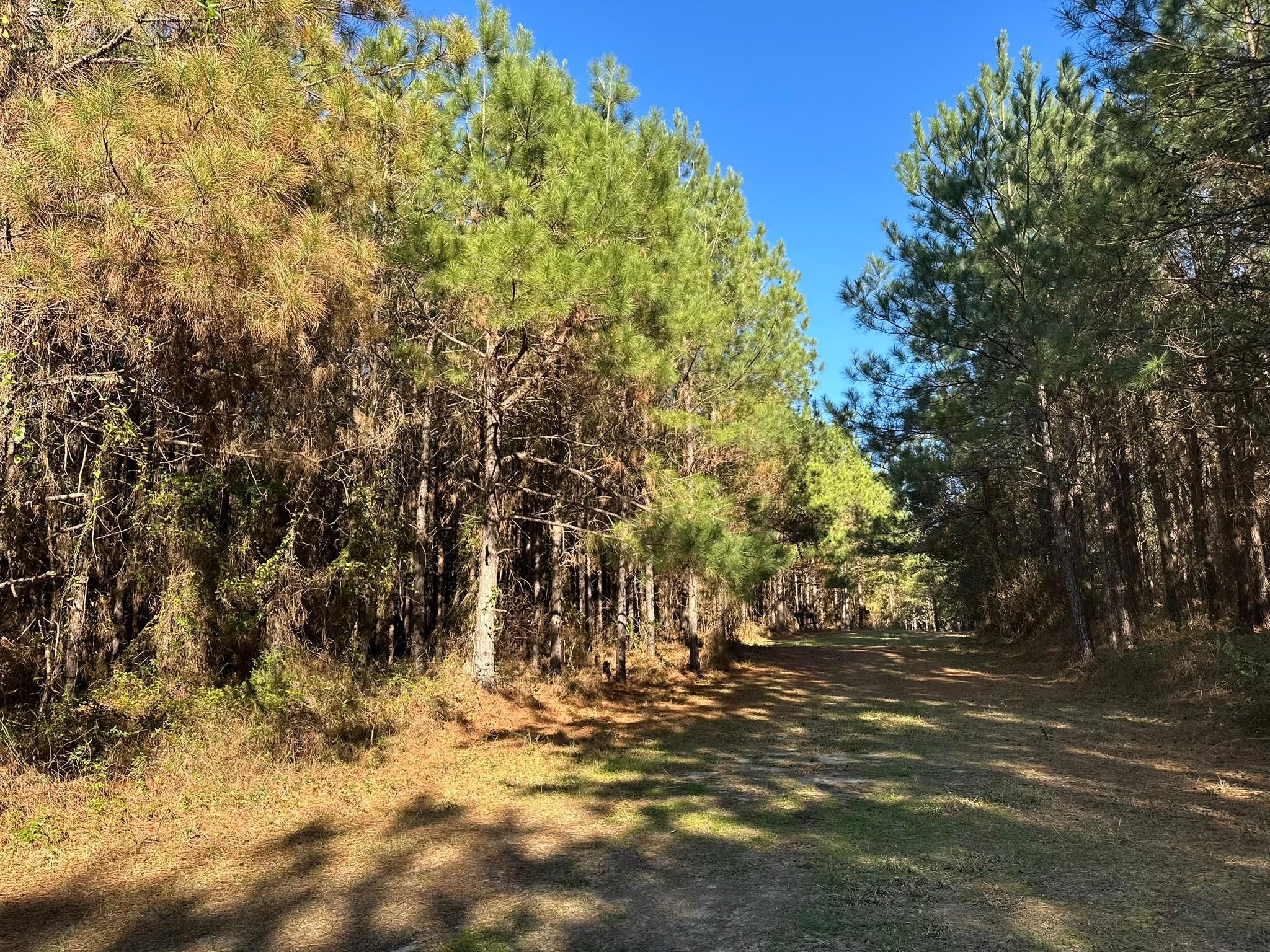 Barnes Rd, Gordon, AL 36343 | LandWatch