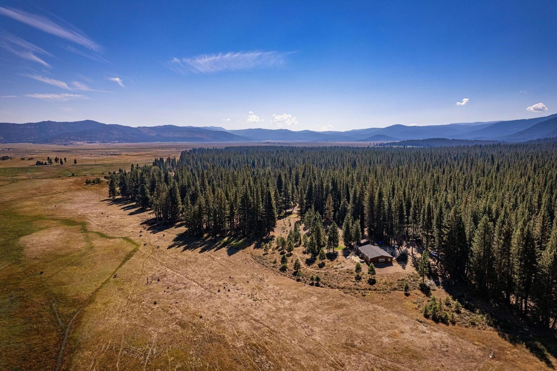 1015 Mountain Quail Road, Calpine, CA 96124 | MLS: 20251108 | LandWatch