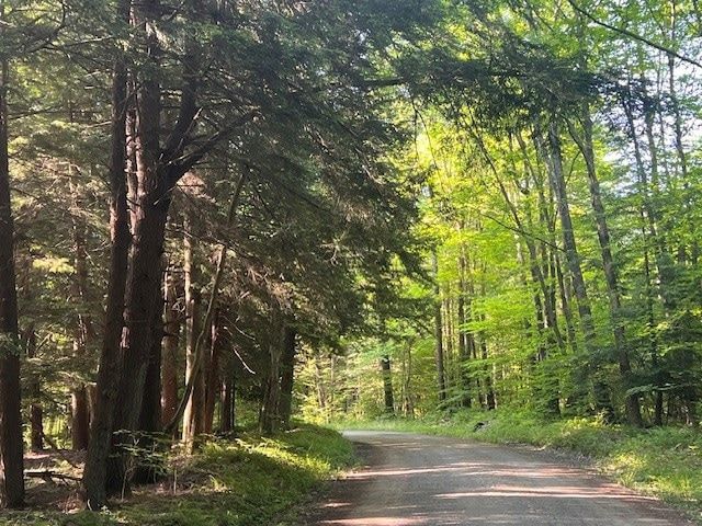 4235 Branch Road, Frostburg, PA 15767 | MLS: 1657796 | LandWatch