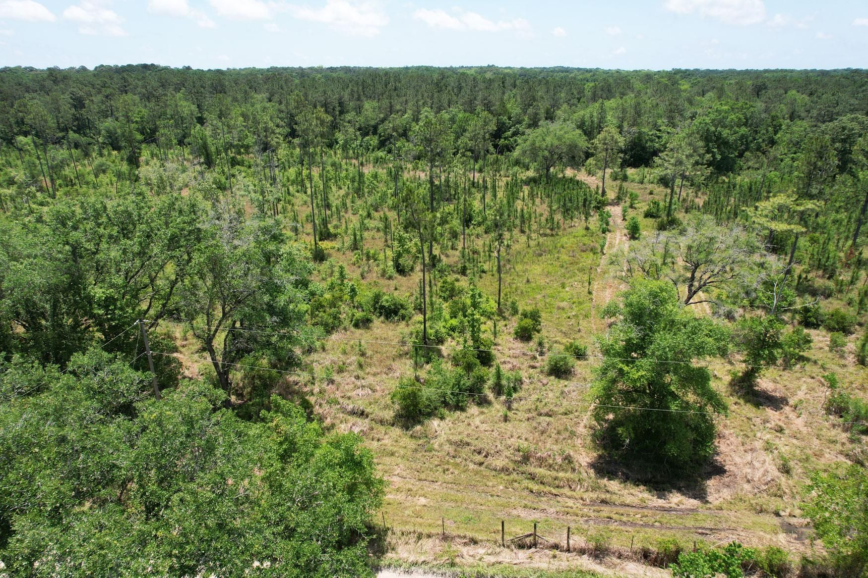 McGregor Road, Grand Bay, AL 36541 | LandWatch
