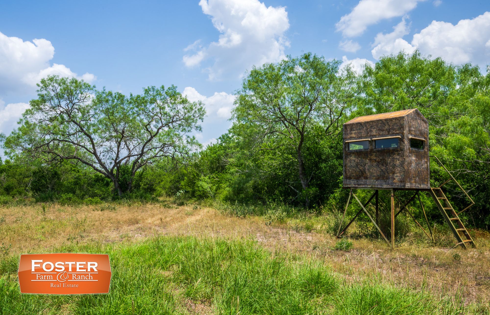 1355 County Road 119, Pettus, TX 78146 | LandWatch