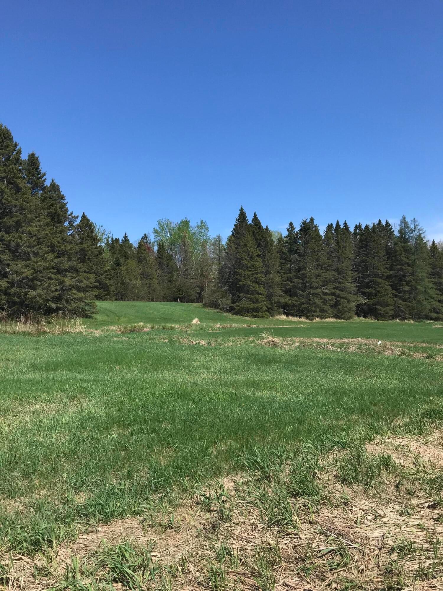 TBD E Sand Ridge Rd RD, Goetzville, MI 49736 | MLS: 25-208 | LandWatch