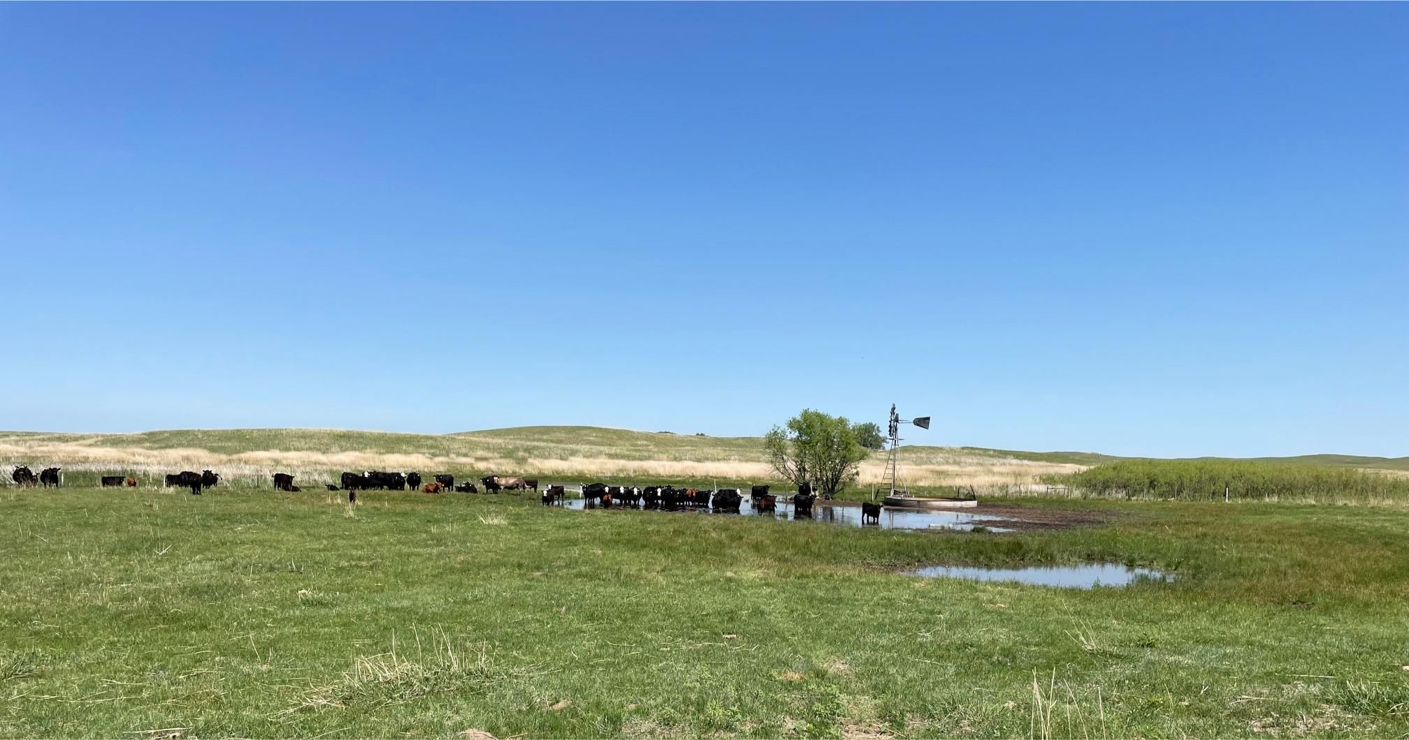 Gordon, NE 69343, Gordon, NE 69343 | LandWatch