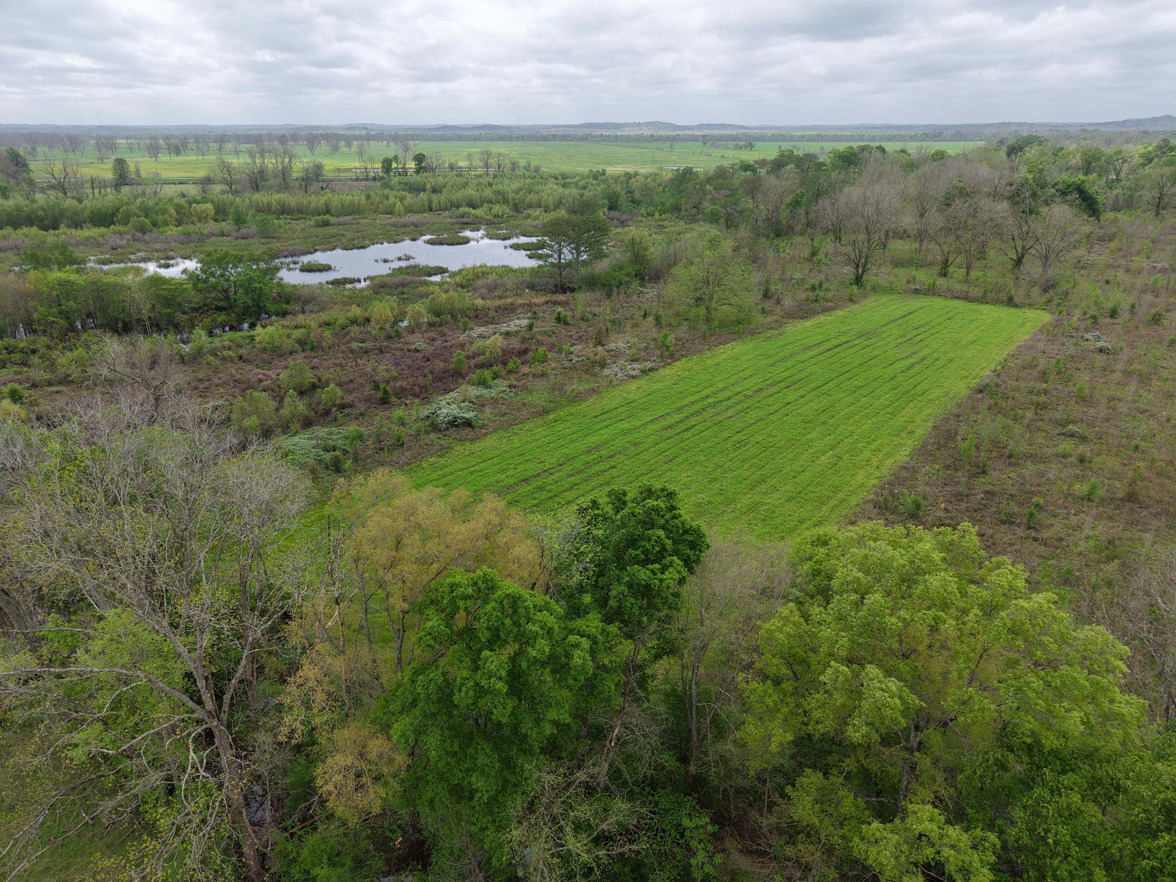 Coco Bed Rd, Cloutierville, LA 71416 | LandWatch