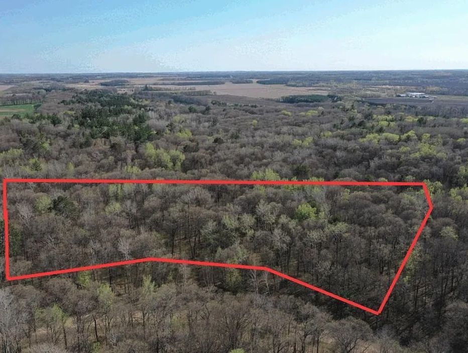 27389 Okla Cir, Browerville, MN 56438 | MLS: 6713489 | LandWatch