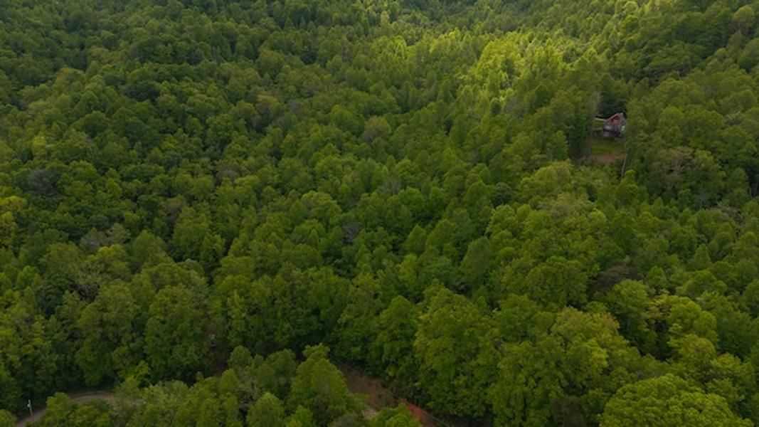 Cove Gap Rd, Moravian Falls, NC 28697 | LandWatch