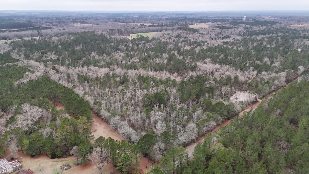 County Road 206, Jack, AL 36346 | LandWatch