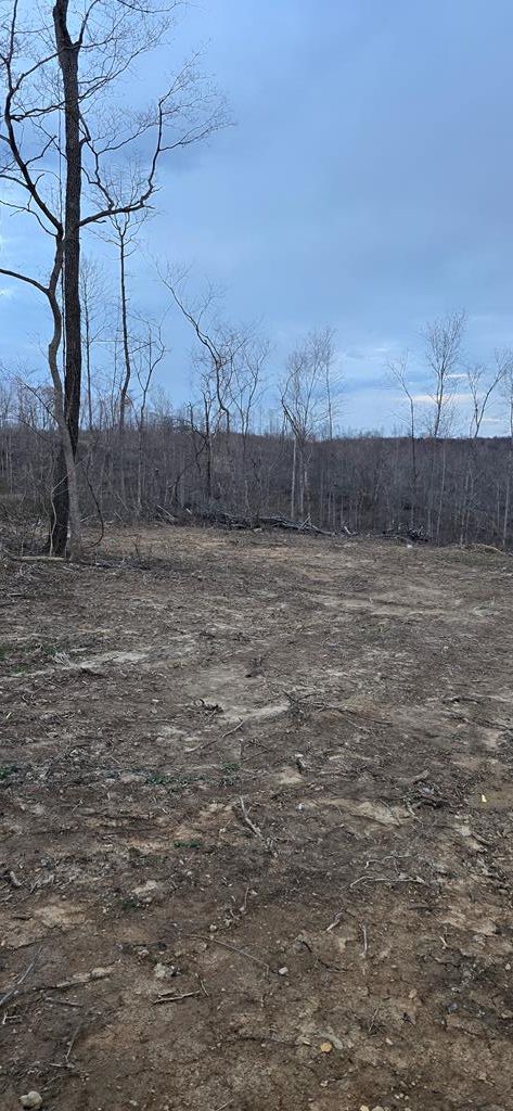 0 Gallia Blackfork Road, Oak Hill, OH 45656 | MLS: 197604 | LandWatch