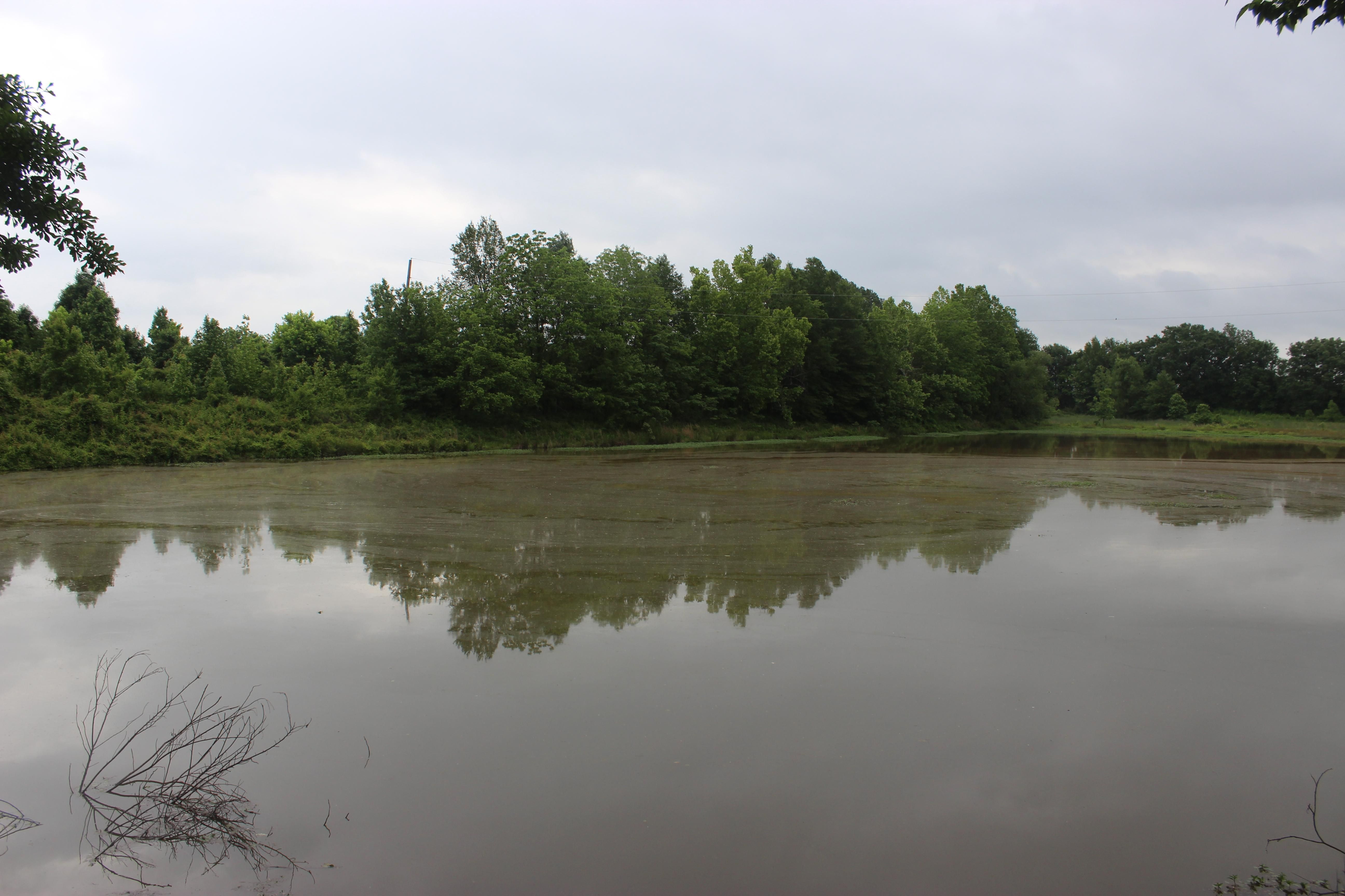 Levee Road, Yazoo City, MS 39194 | MLS: 4114565 | LandWatch