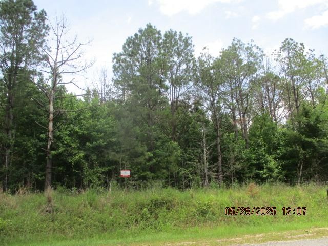 81 acres in Fulton, AL, 36446 | LandWatch